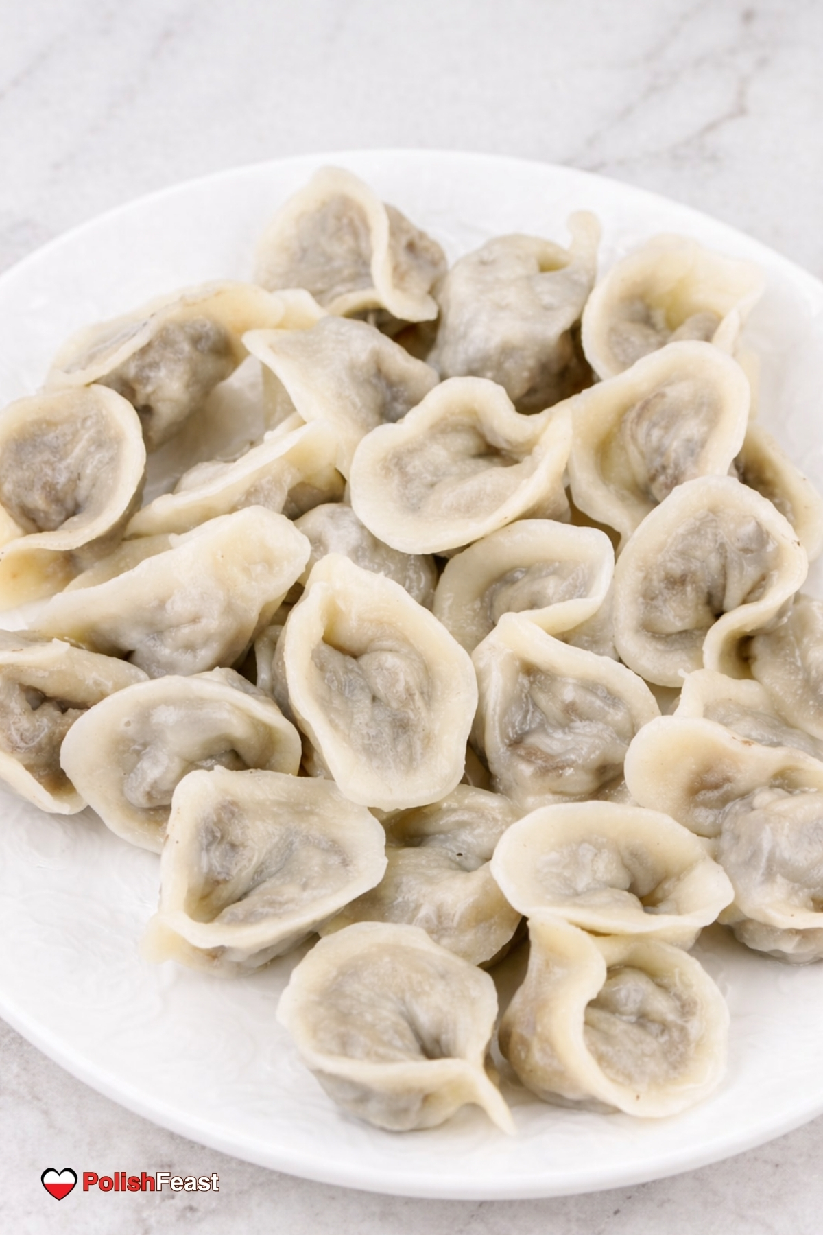 Polish Uszka With Mushrooms Recipe (Wigilia Dumplings)